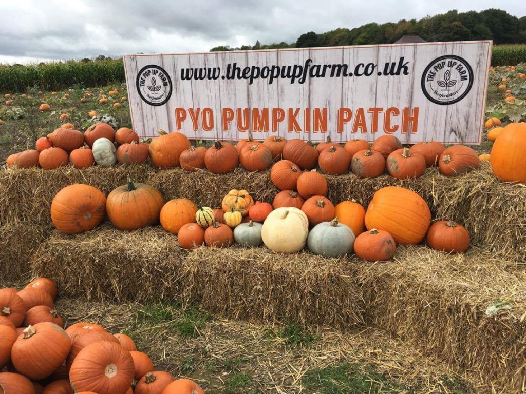 Pop up farm, Hertfordshire - Milton Keynes Kids