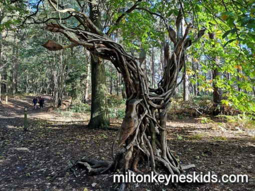 Rushmere country park in Bedfordshire review - Milton Keynes Kids