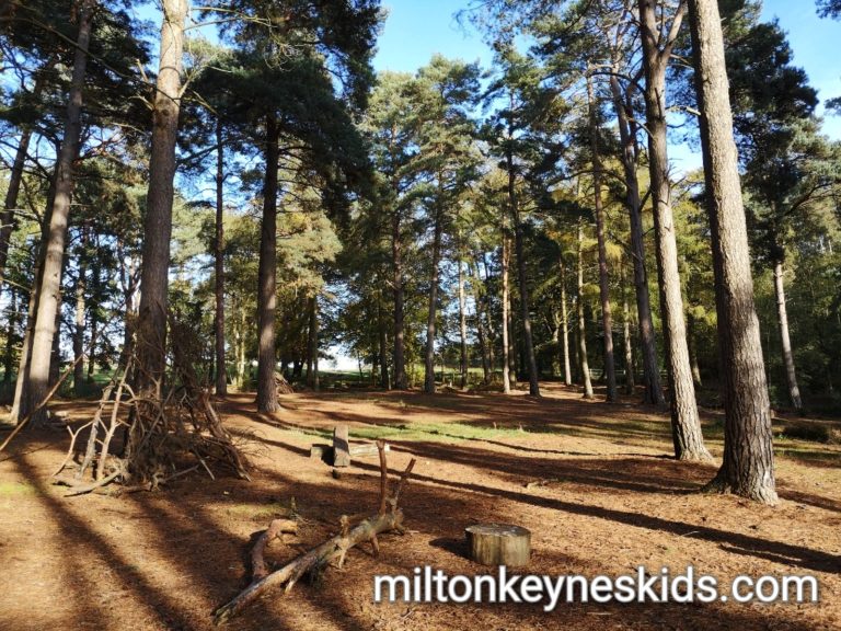 Rushmere country park in Bedfordshire review - Milton Keynes Kids
