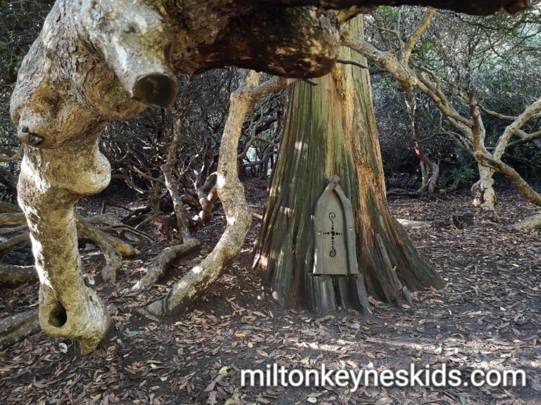 Rushmere country park in Bedfordshire review - Milton Keynes Kids