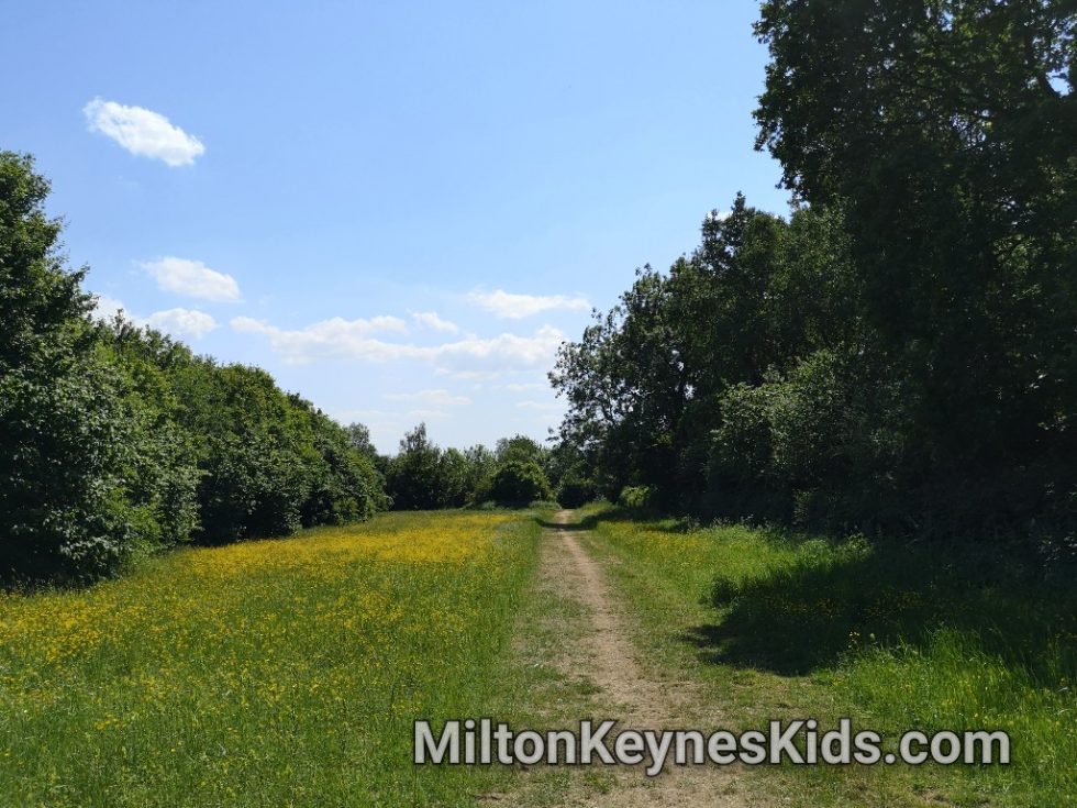 Howe Park Wood, Milton Keynes review - Milton Keynes Kids