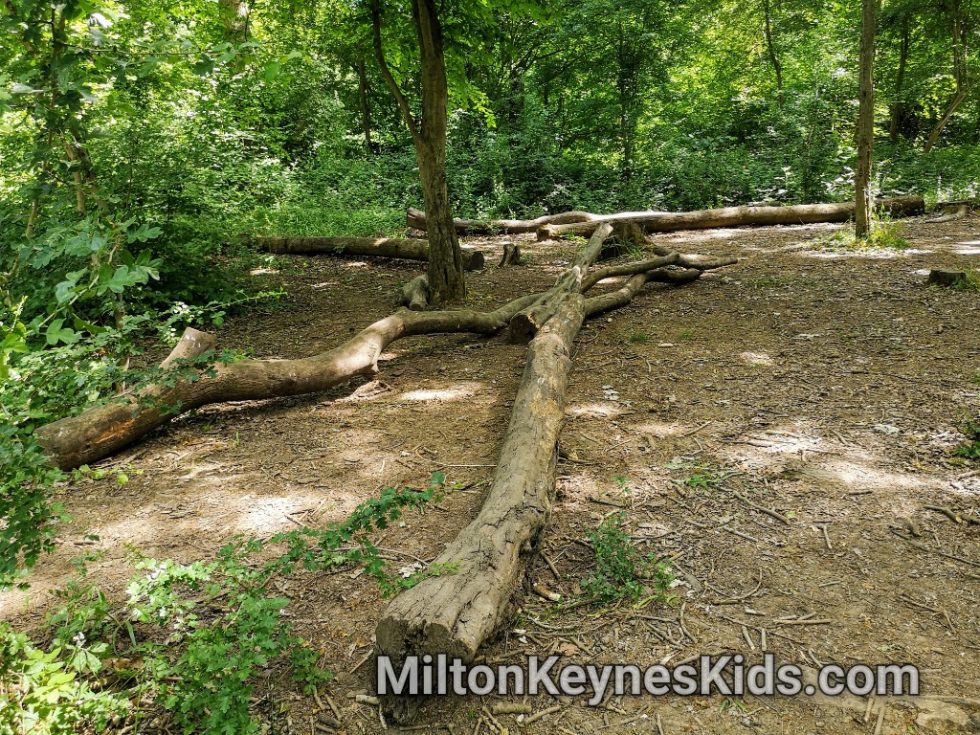 Howe Park Wood, Milton Keynes review - Milton Keynes Kids