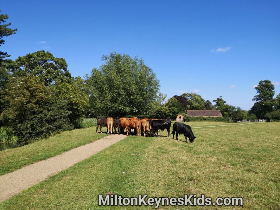 Cattle Creep, Iron Trunk Aqueduct, Wolverton review - Milton Keynes Kids