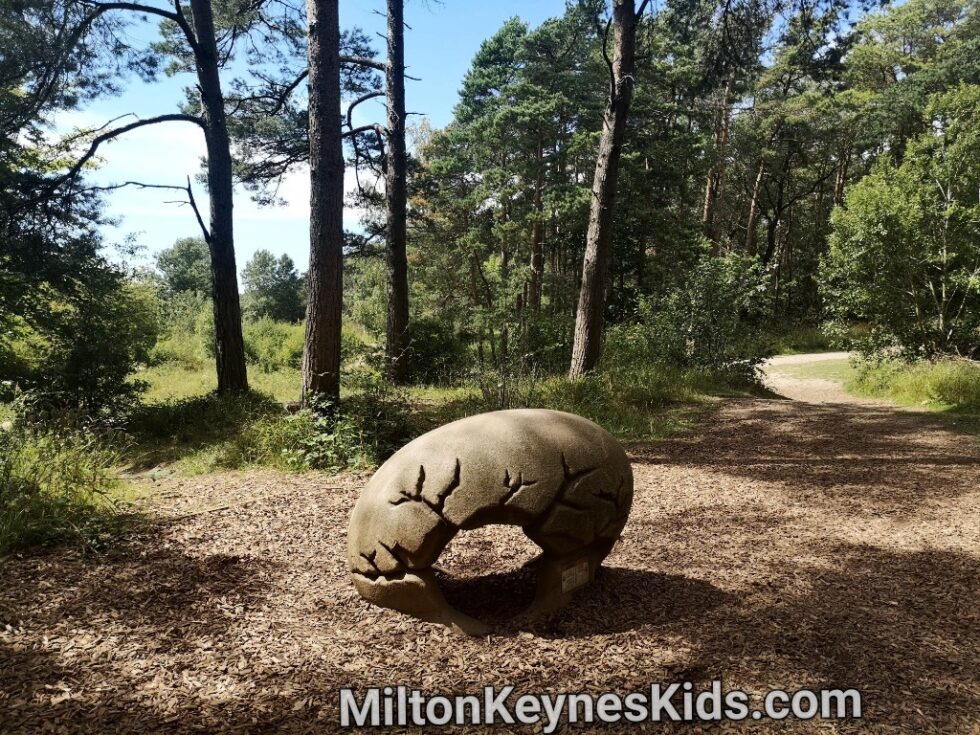 Irchester Country Park, Northamptonshire review - Milton Keynes Kids