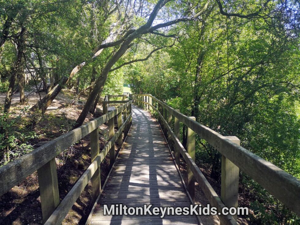 Emberton Country Park, Milton Keynes review - Milton Keynes Kids